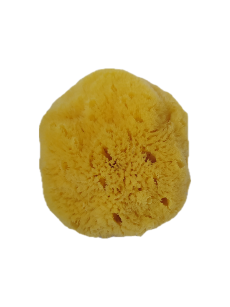 Φυσικό Σφουγγάρι Θαλάσσης Μεσαίο – Joy Sea Sponge