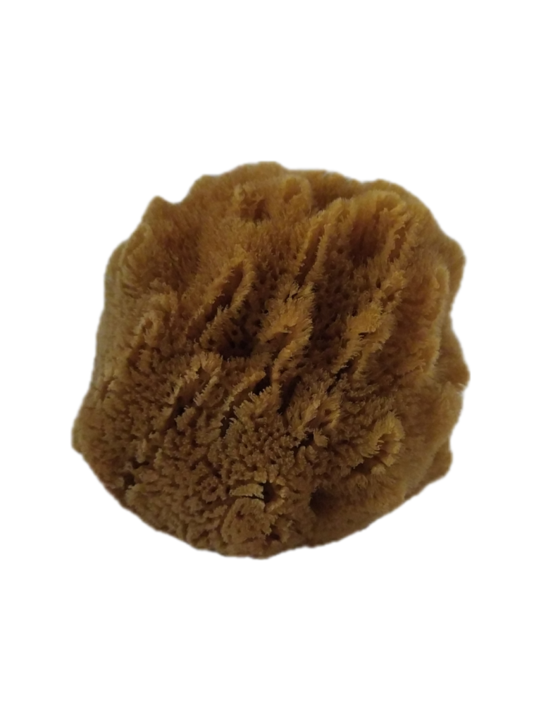Φυσικό Σφουγγάρι Θαλάσσης Μεσαίο – Joy Sea Sponge